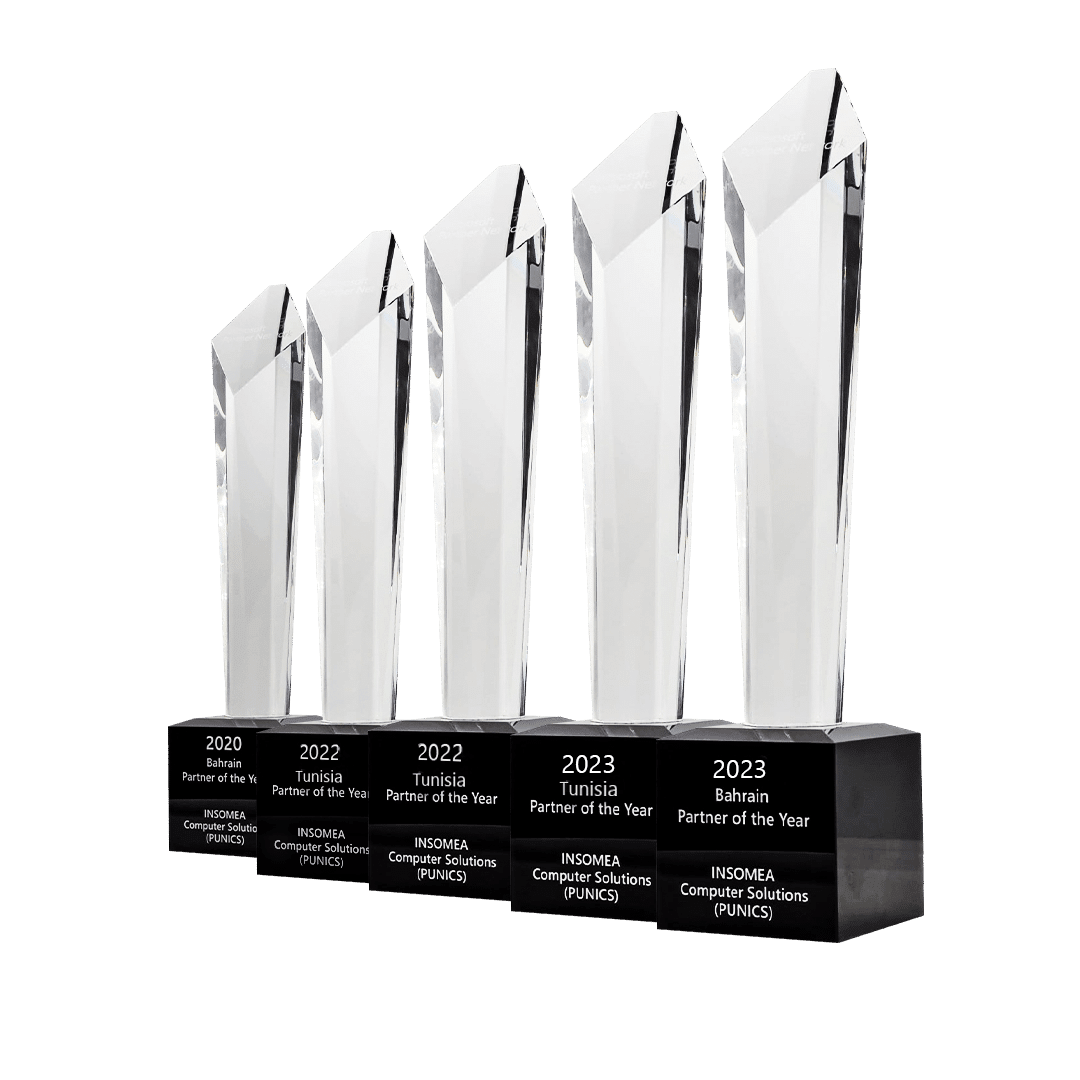 INSOMEA COMPUTER SOLUTIONS - INSOMEA